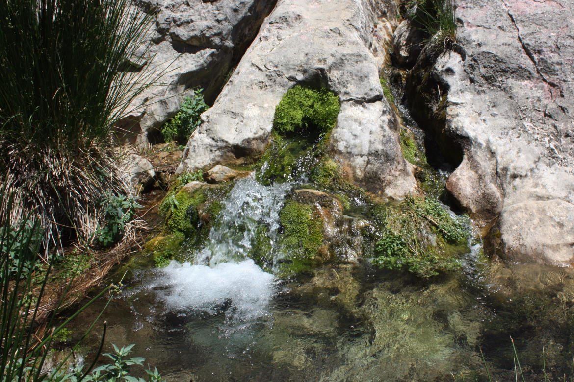 Fuente de la Tamara - Río Alcanadre - Entorno - Guara Central